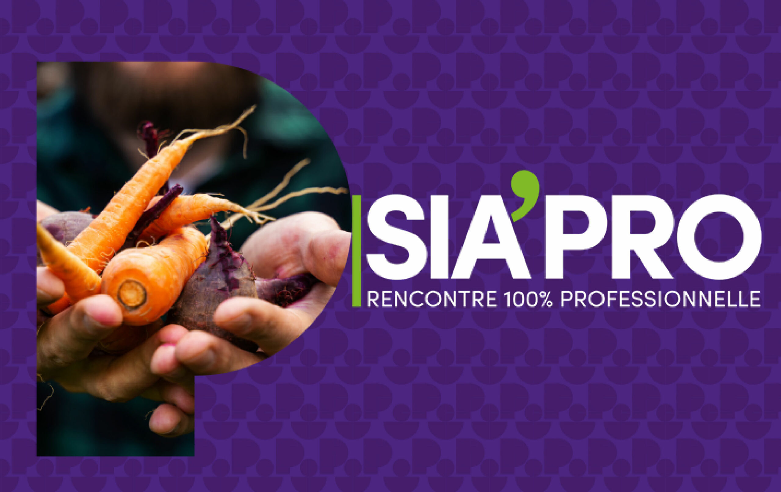 SIA'PRO - Agence Solar